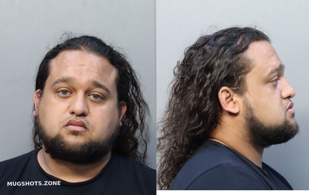CUCULICH BRIAN MARTIN 06/15/2025 - Miami-Dade County Mugshots Zone