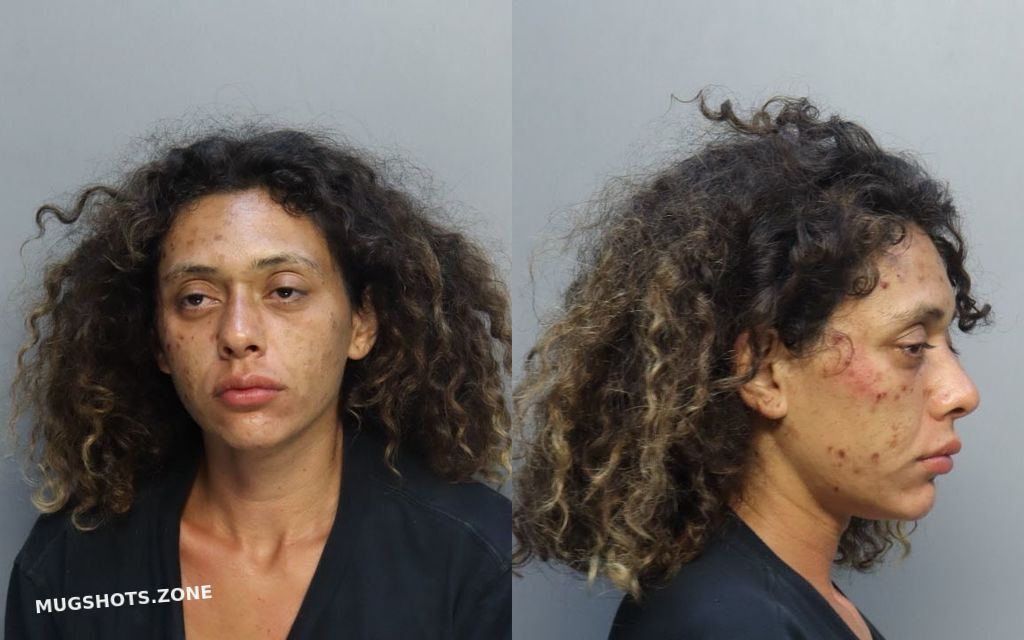 DOMINGUEZ TAINA 06/25/2025 - Miami-Dade County Mugshots Zone