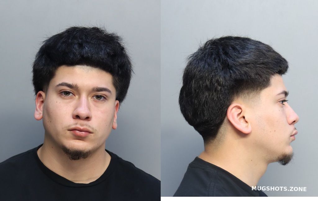 CASTILLO BRYAM 06/29/2025 - Miami-Dade County Mugshots Zone