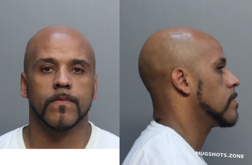 VIAUD ALFRED 07/04/2025 - Miami-Dade County Mugshots Zone
