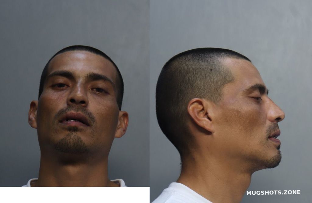 ROSA LUIS ALBERTO 07/08/2025 - Miami-Dade County Mugshots Zone