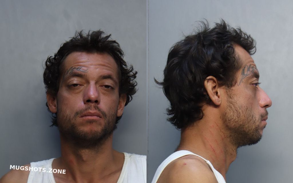 RIVERA RUBIN DELUIS 07/11/2025 - Miami-Dade County Mugshots Zone