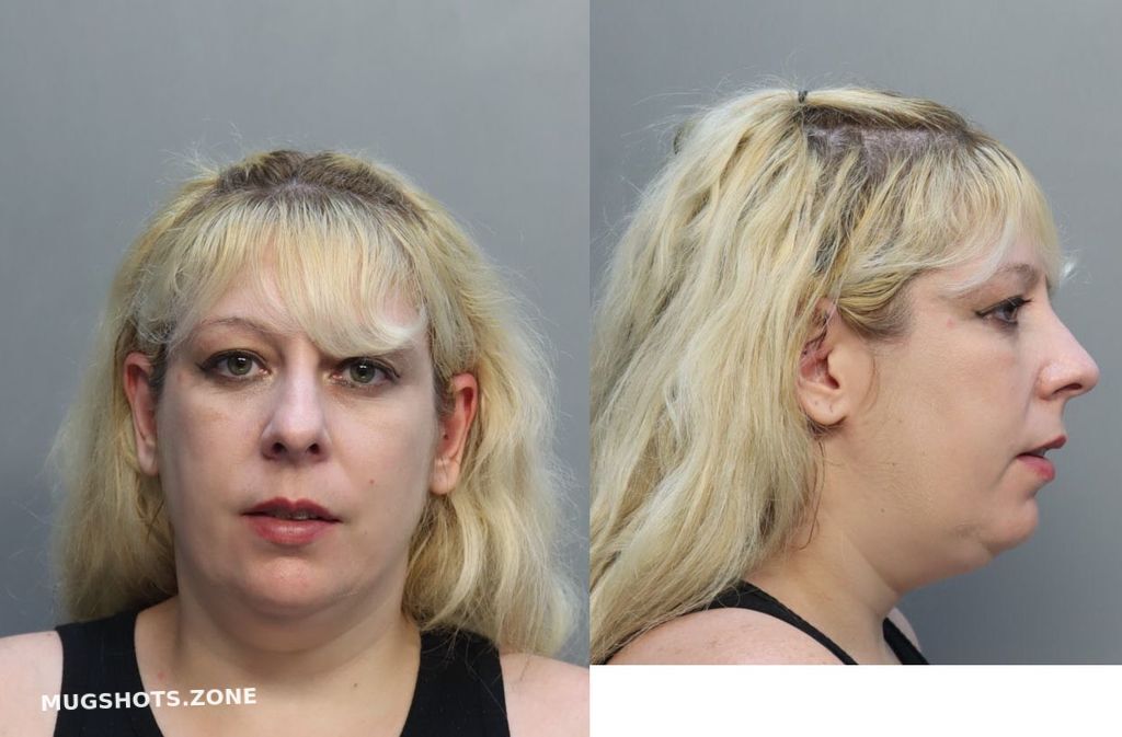 ALONSO YANDELEY 07/15/2025 - Miami-Dade County Mugshots Zone