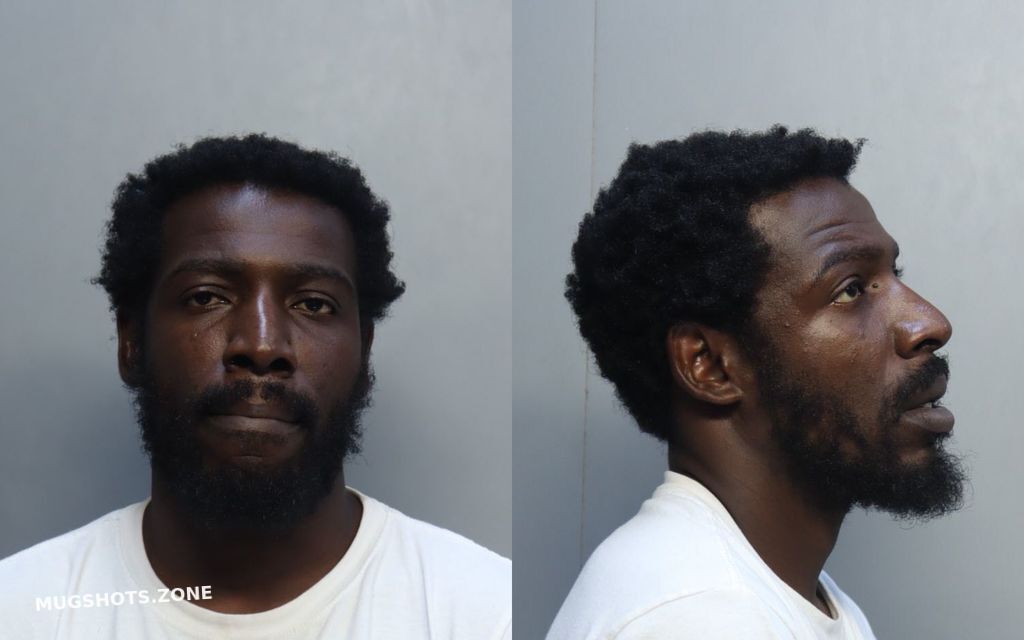 WILLIAMS JAMES EDWARD 07/17/2025 - Miami-Dade County Mugshots Zone