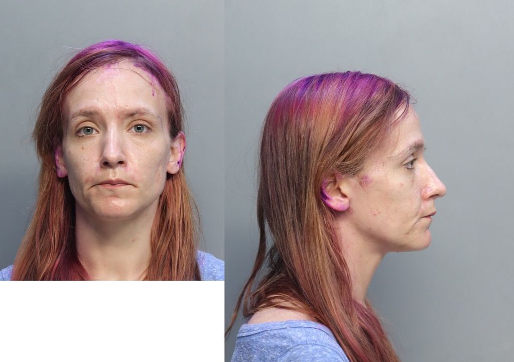 JAKOWITZ EMILY HANNAH 07/17/2025 - Miami-Dade County Mugshots Zone