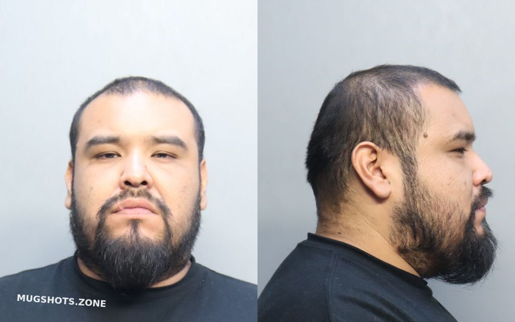 SEBASTIAN LORENZO N 07/17/2025 - Miami-Dade County Mugshots Zone