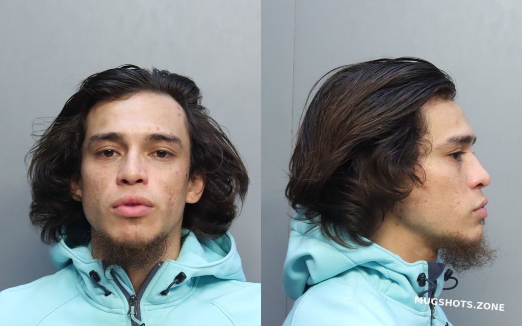 PARSON DANIEL DAVID 07/17/2025 - Miami-Dade County Mugshots Zone