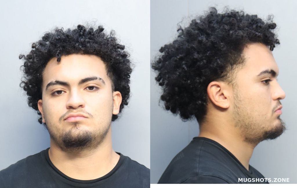 HIGGINS NICHOLAS HAMILTON 07/18/2025 - Miami-Dade County Mugshots Zone