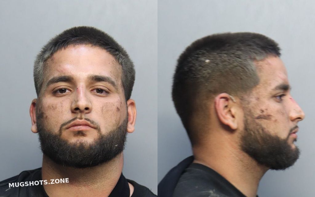 DENIS ADOLFO 07/20/2025 - Miami-Dade County Mugshots Zone