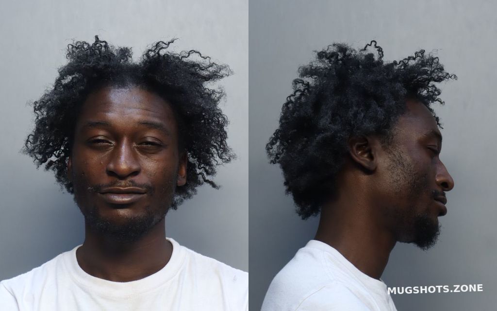 PIERRE-LOUIS ELIJAH TERRY 08/20/2025 - Miami-Dade County Mugshots Zone