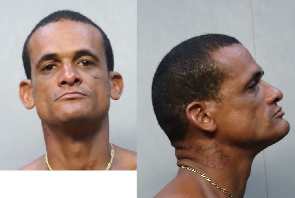 CANADA FERNANDO ARTURO 09/02/2025 - Miami-Dade County Mugshots Zone