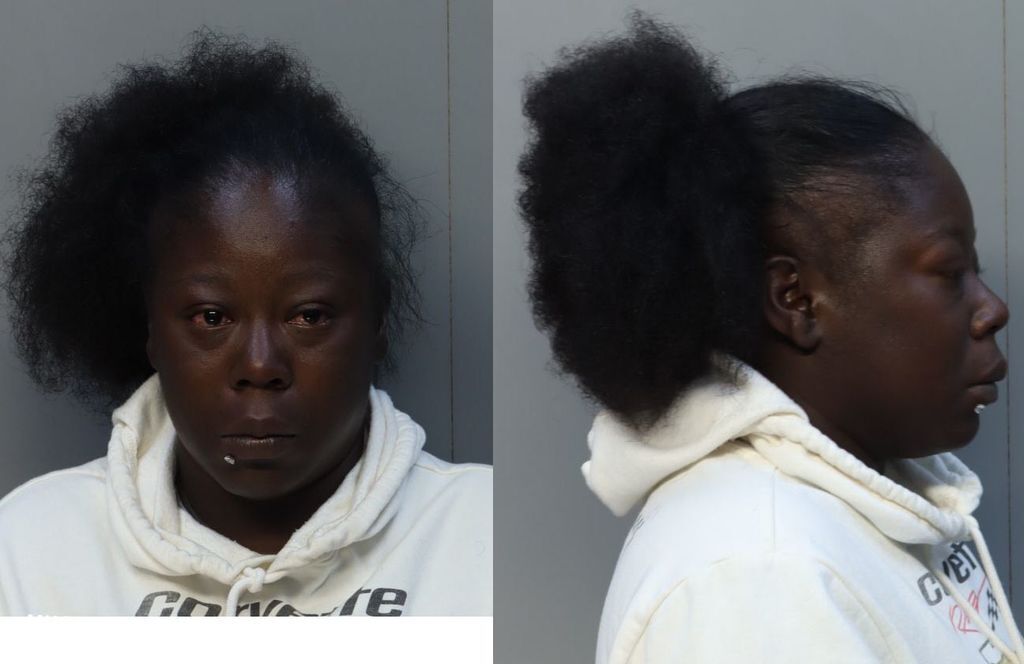 ROLLE ALEXIS ELAINE 09/25/2025 - Miami-Dade County Mugshots Zone