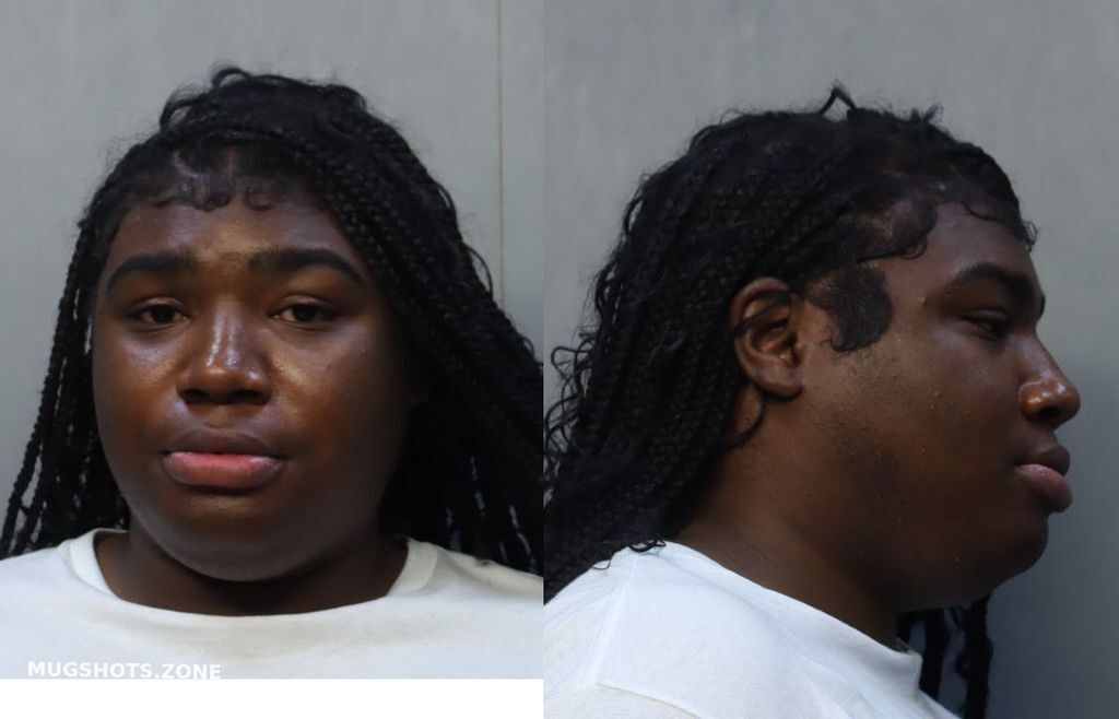 JOHNSON DEIONTE MALIK 09/27/2025 - Miami-Dade County Mugshots Zone