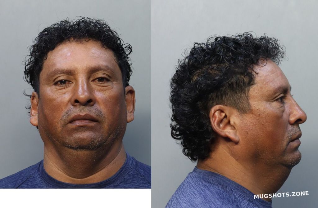 VILLARREYNAMONTALVAN MELVIS IVAN 10/03/2025 - Miami-Dade County ...