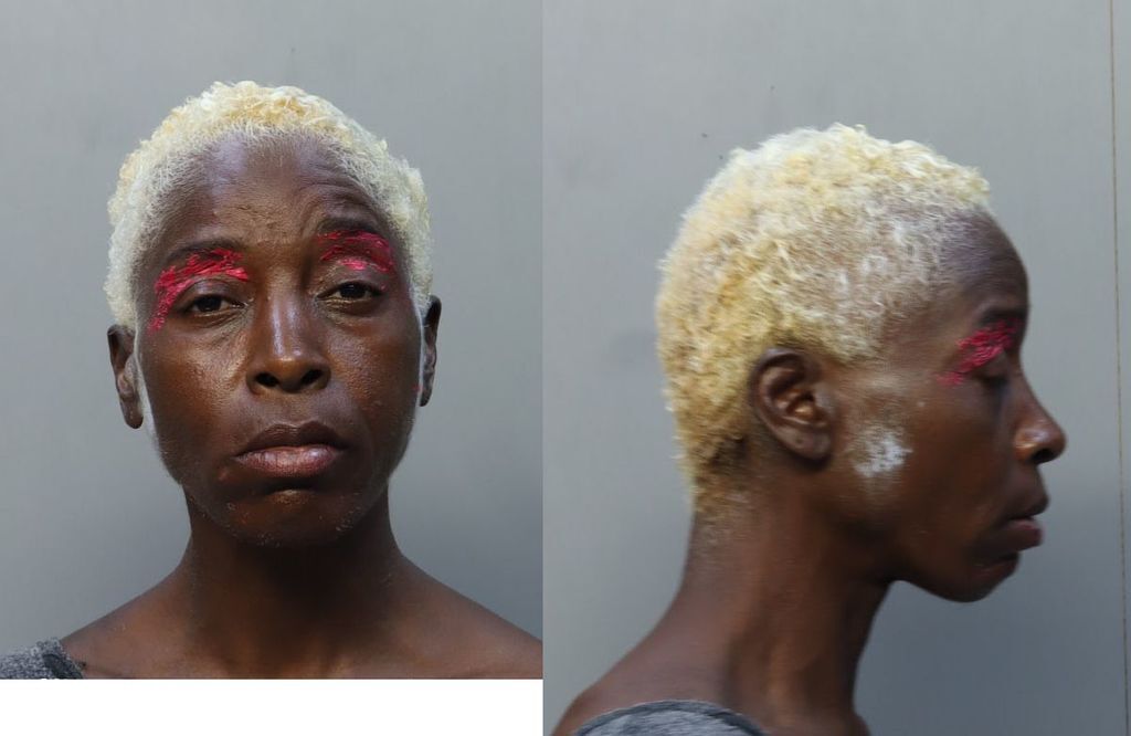 ELLISON CATRINA RENEE 10/12/2025 - Miami-Dade County Mugshots Zone