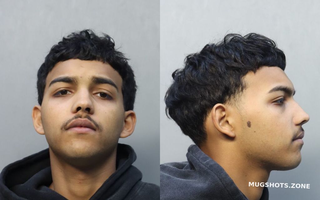 MARTINEZ MAXIMUS JANVIER 10/23/2025 - Miami-Dade County Mugshots Zone