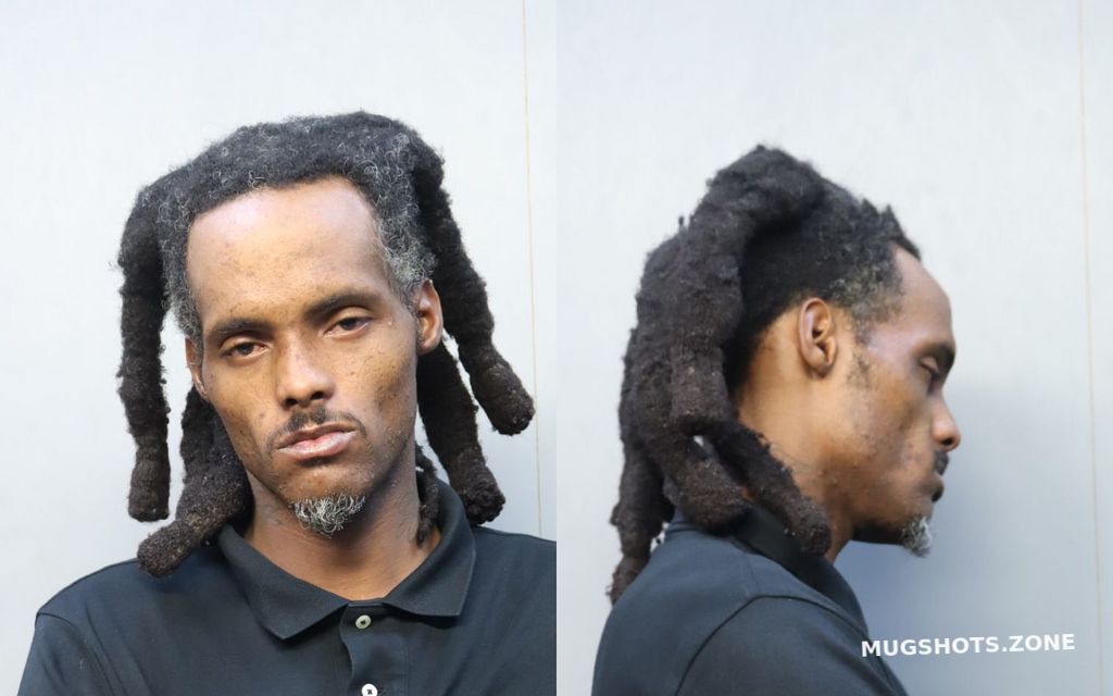 GILL ALLEN JAMES 11/04/2025 - Miami-Dade County Mugshots Zone