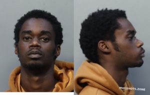 WHYTE NIGEL 11/06/2025 - Miami-Dade County Mugshots Zone