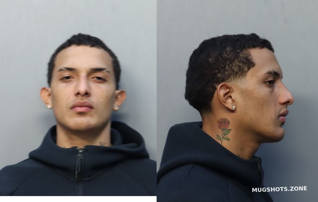 CASTILLO JORGE 11/08/2025 - Miami-Dade County Mugshots Zone