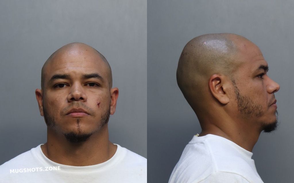 ZERPA PABLO RAFAEL 11/08/2025 - Miami-Dade County Mugshots Zone