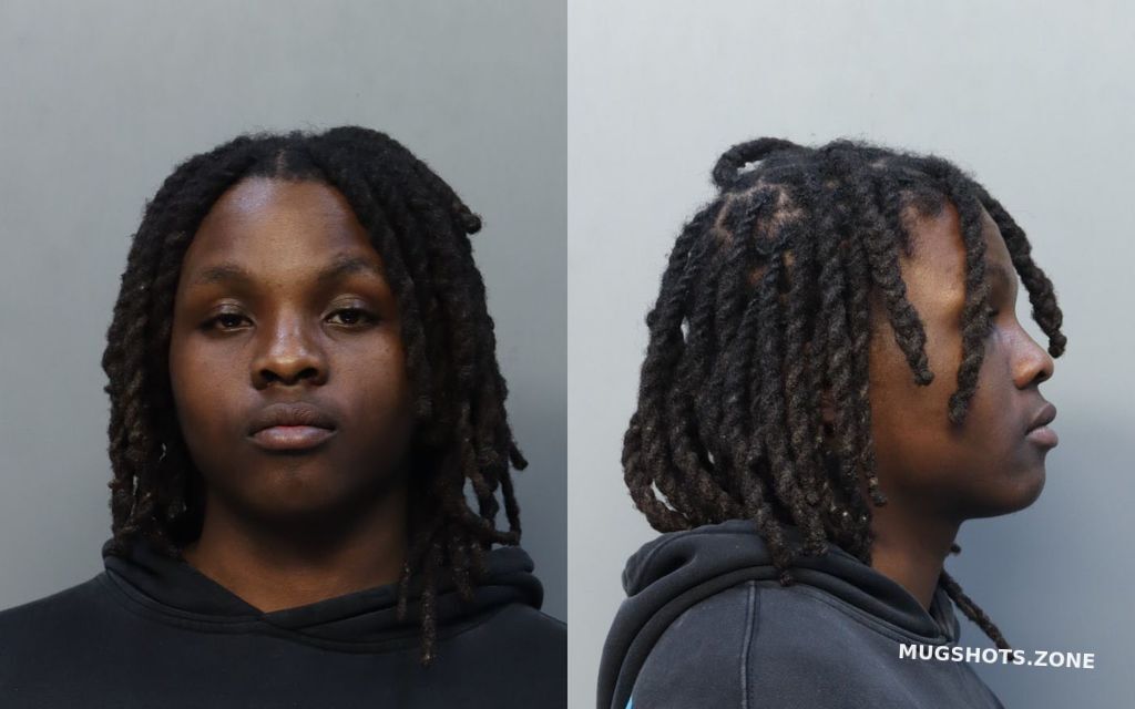 WILSON SHAWN SETH 11/11/2025 - Miami-Dade County Mugshots Zone