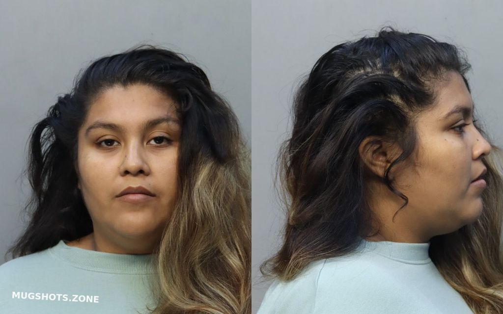 MARTINEZ BRENDA 11/11/2025 - Miami-Dade County Mugshots Zone