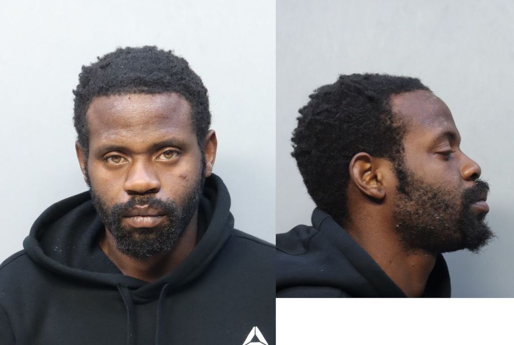 ROLLE DAVID ANTHONY 11/12/2025 - Miami-Dade County Mugshots Zone