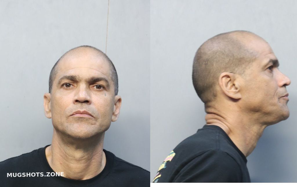 LORENZOVALDEZ ARMER 11/19/2025 - Miami-Dade County Mugshots Zone