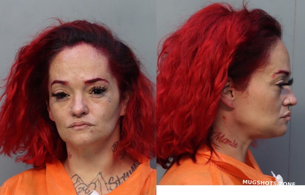 CASTELLANOS ALEXIS 11/19/2025 - Miami-Dade County Mugshots Zone