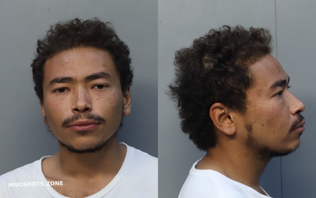 ACAY HECTOR 11/25/2025 - Miami-Dade County Mugshots Zone