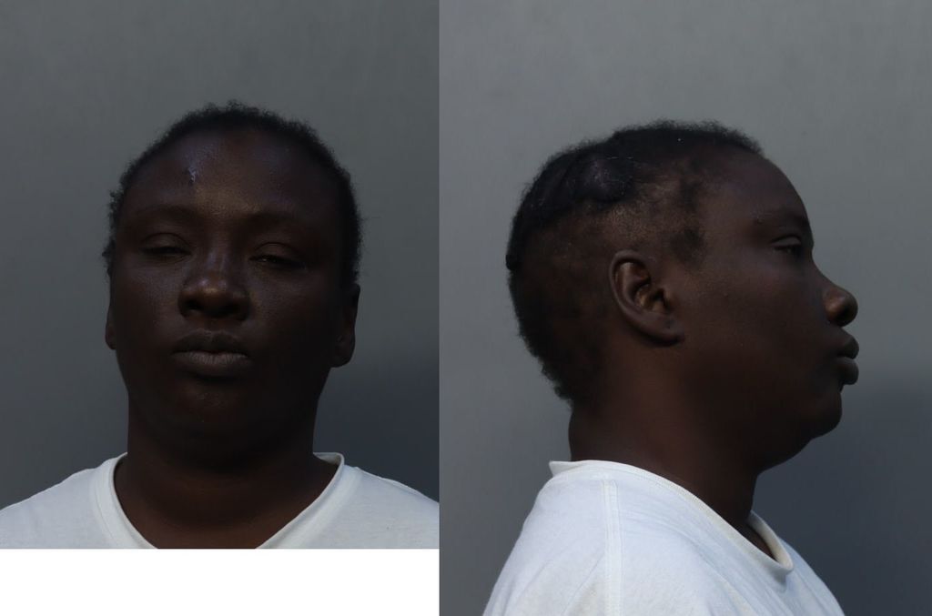 PATTERSON VIOLA 11/25/2025 - Miami-Dade County Mugshots Zone