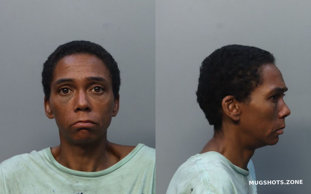 LOVESMITH ERICA 12/14/2025 - Miami-Dade County Mugshots Zone
