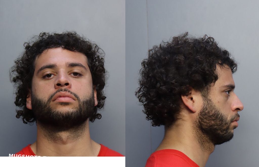 CASTILLO GIOVANN EMILIO 12/29/2025 - Miami-Dade County Mugshots Zone