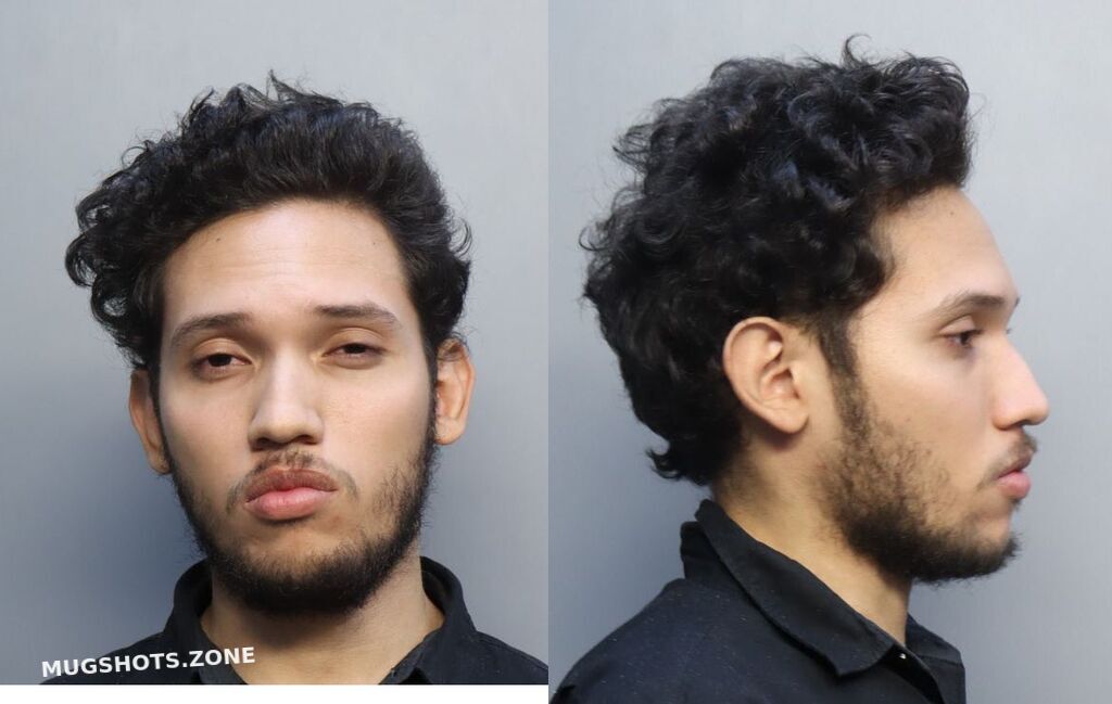 ALEMAN BRYAN ALBERT 01/08/2026 - Miami-Dade County Mugshots Zone