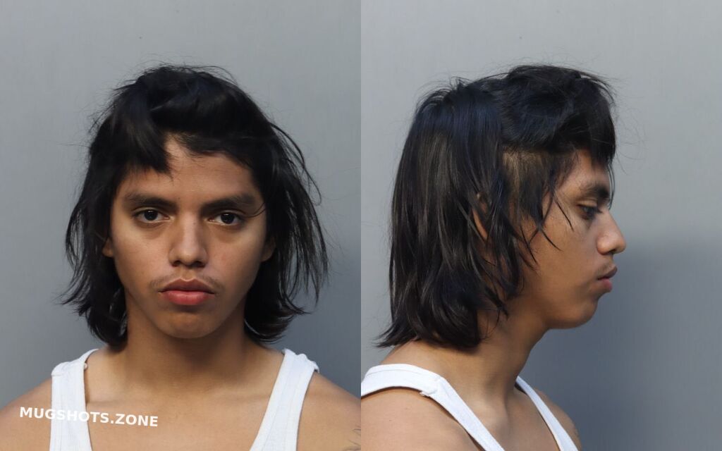 ALVA RONY 01/23/2026 - Miami-Dade County Mugshots Zone
