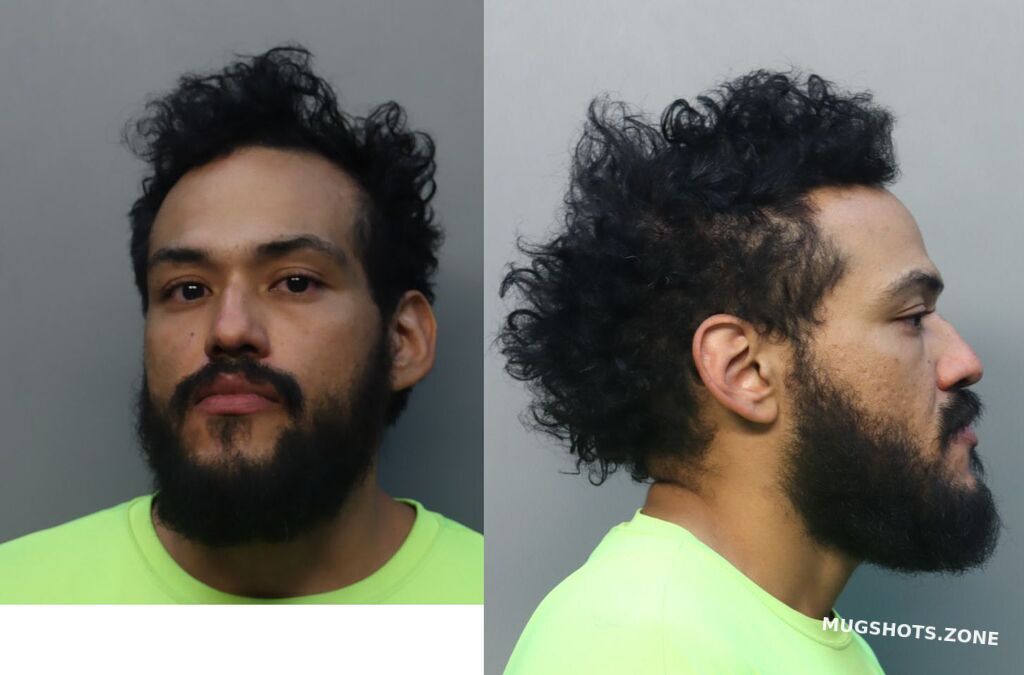 ORTIZ ALLAN ALBERTO 02/03/2026 - Miami-Dade County Mugshots Zone