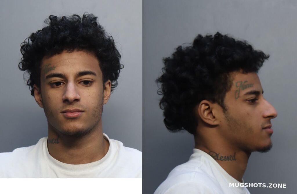 ROBLES ELIJAH A 02/25/2026 - Miami-Dade County Mugshots Zone