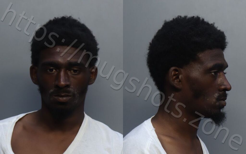 DAVIS THADDEUS 03/10/2026 - Miami-Dade County Mugshots Zone