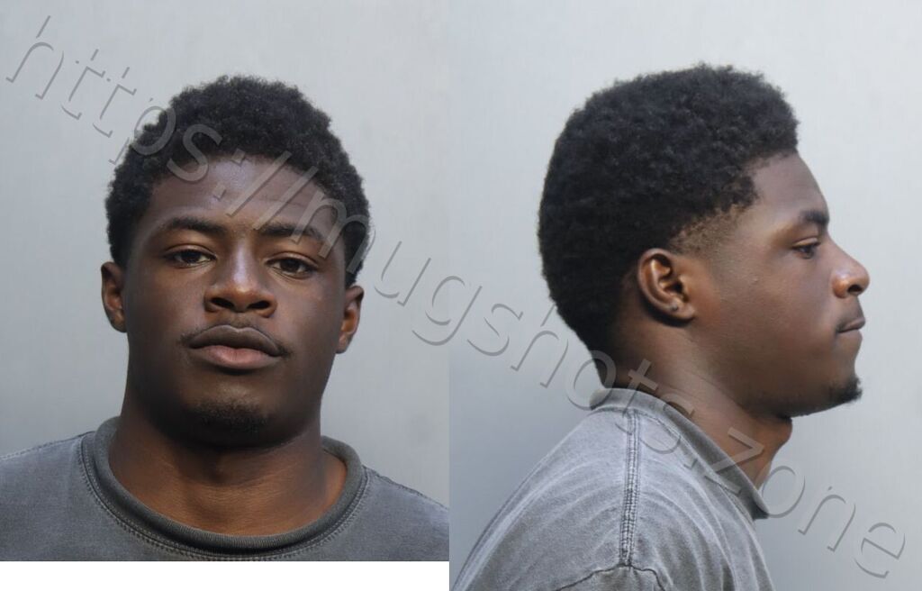 DOMINIQUE HANSEN 03/10/2026 - Miami-Dade County Mugshots Zone