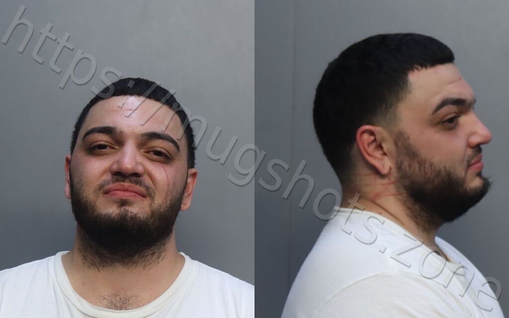 VIVES JAVIER 03/11/2026 - Miami-Dade County Mugshots Zone