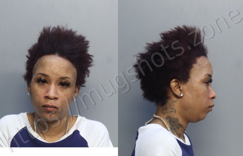 THOMPSON ALEXIS MARIE 03/11/2026 - Miami-Dade County Mugshots Zone