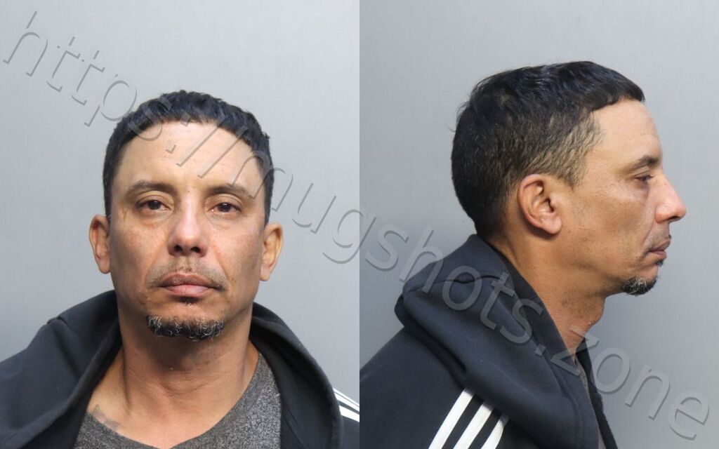 FANA CHRISTOPHER DANIEL 03/11/2026 - Miami-Dade County Mugshots Zone