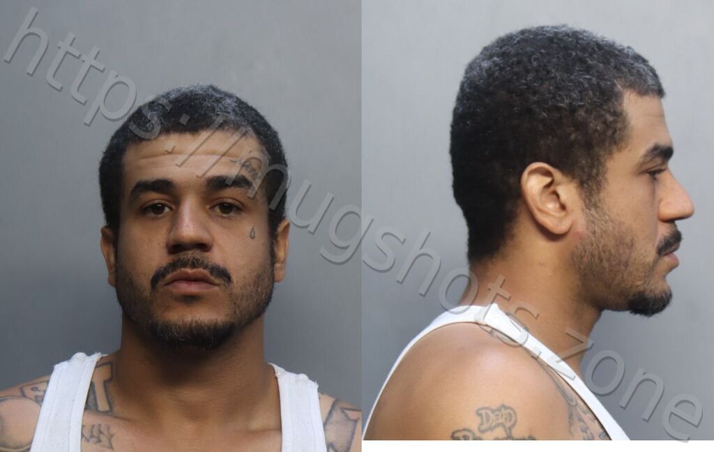 SCRUGGS BRIAN FATE 03/11/2026 - Miami-Dade County Mugshots Zone