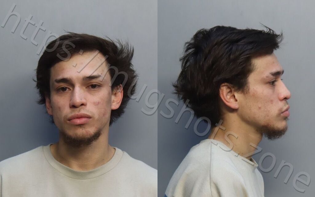 PARSON DANIEL DAVID 03/11/2026 - Miami-Dade County Mugshots Zone
