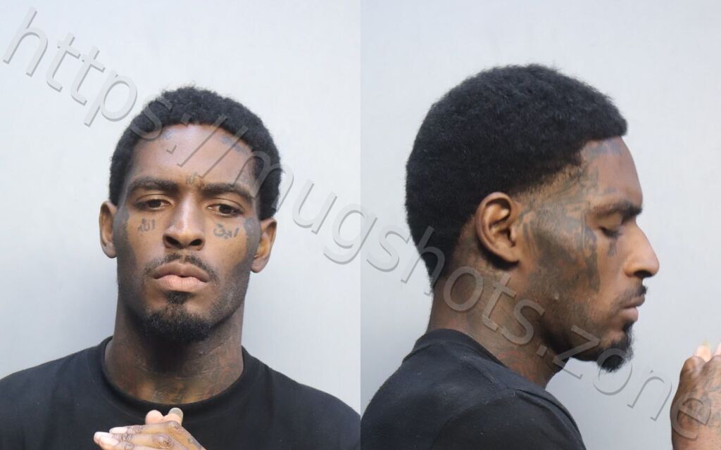 LEWIS DEANGELO 03/16/2026 - Miami-Dade County Mugshots Zone