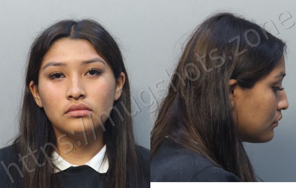 HERNANDEZ BRYSSA CELESTE 03/18/2026 - Miami-Dade County Mugshots Zone