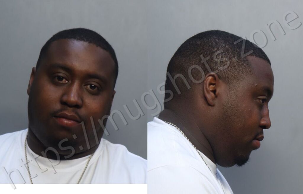 ROBINSON RODNEY TAVON 03/21/2026 - Miami-Dade County Mugshots Zone