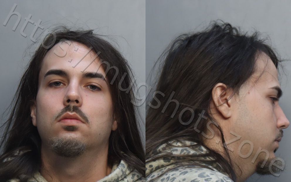 FERNANDEZ JAKE ALEXANDER 03/24/2026 - Miami-Dade County Mugshots Zone