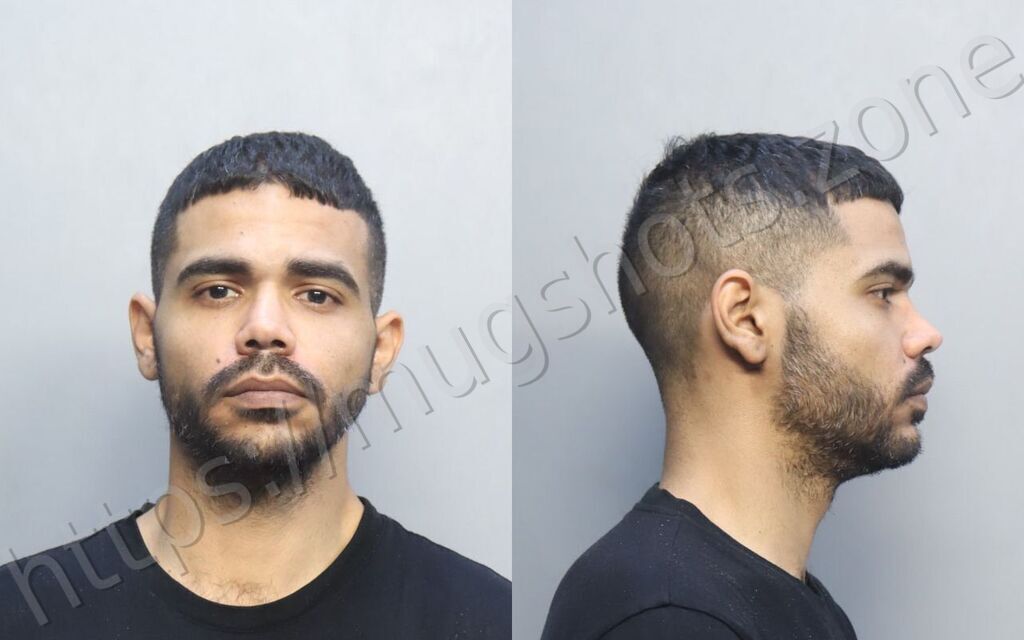 APONTE HECTOR LUIS 03/25/2026 - Miami-Dade County Mugshots Zone