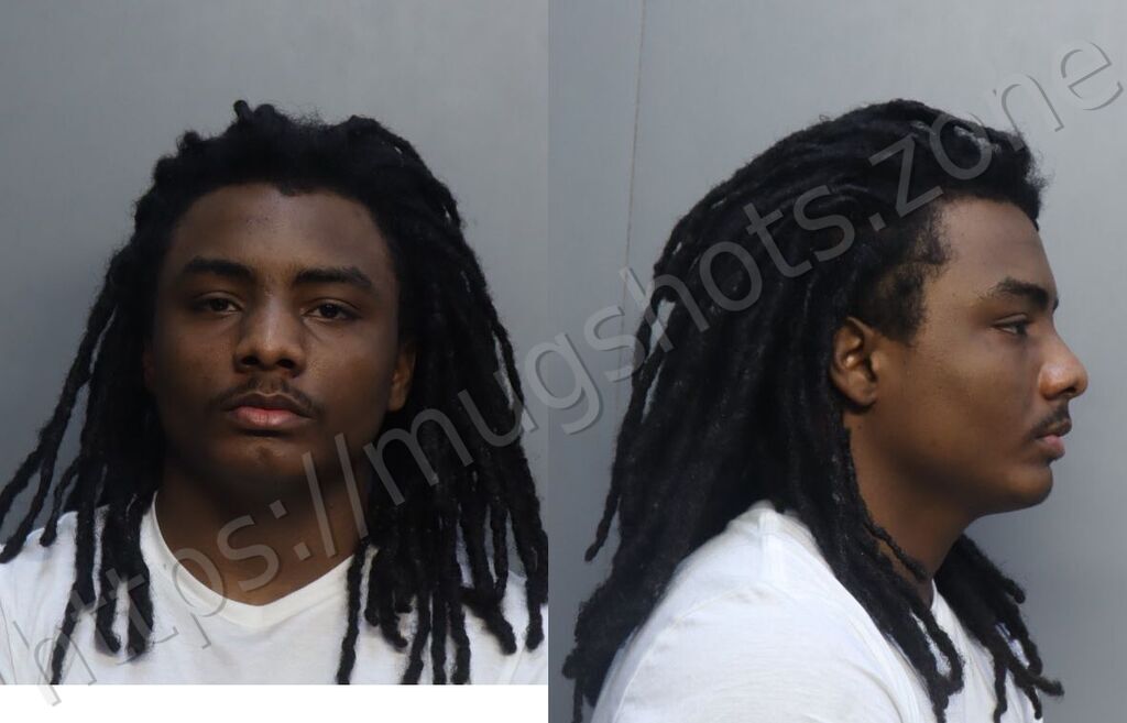MCGEE DESTIN 03/26/2026 - Miami-Dade County Mugshots Zone